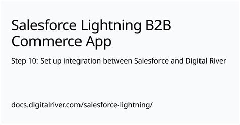 Step 10 Set Up Integration Between Salesforce And Digital River Salesforce Lightning B2b