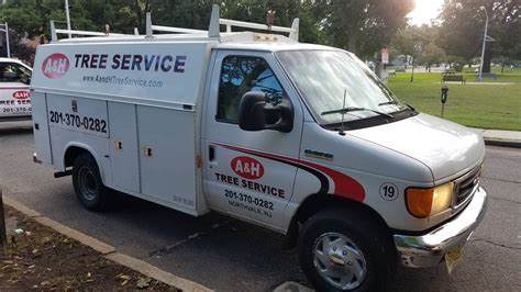 Large Tree Removal Services A H Tree Service Northern New Jersey