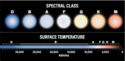 Spectral Classes Of Stars Diagram Quizlet