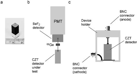 A 6 Â 6 Â 15 Cm 3 Virtual Frisch Grid Detector Encapsulated In A 100 Download Scientific