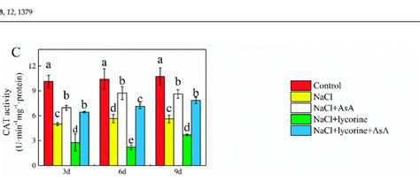 Values Of Superoxidase Dismutase Sod A Peroxidase Pod B And