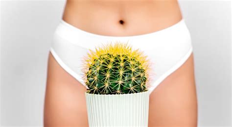 Priority Std Testing™ Official 1 Rated Std Testing Service