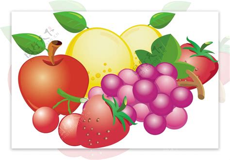 矢量水果卡通图片素材 编号26242634 图行天下