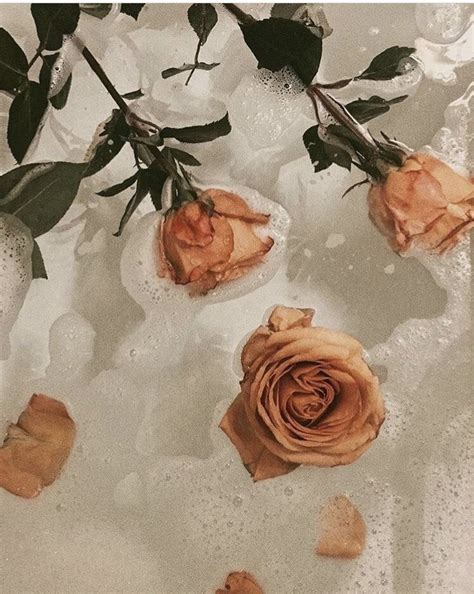 Grunge Life Lana Del Rey And Bathroom Image 8914735 On