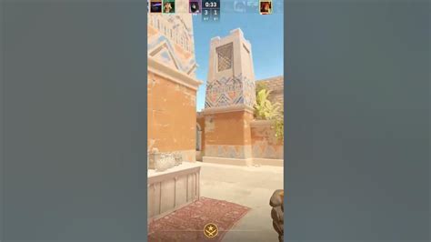 Раунд Землерийка Youtube