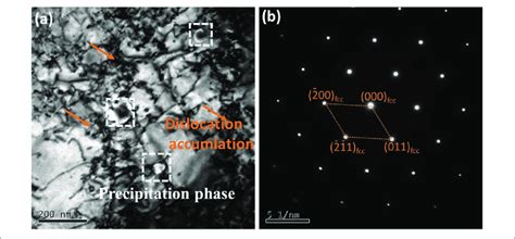 Microstructure Of The Slm Processed Cocrfemnni Hea A Tem Bright