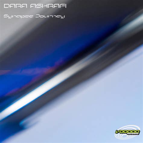 Synapse Journey Dara Ashrafi
