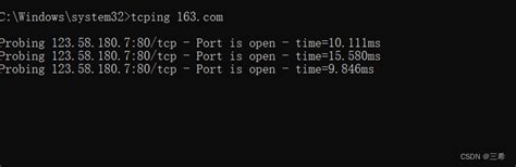 Windows如何确认服务器上程序端口是否正常（ping、tcping）ping端口 Csdn博客