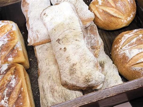 Making A Meal Of It At Plume Cafe Matakana Motorhomes Caravans And Destinations Nz