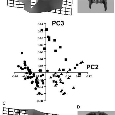 Plot Of Pc1 34 Total Variance Horizontal Versus Centroid Size Mm