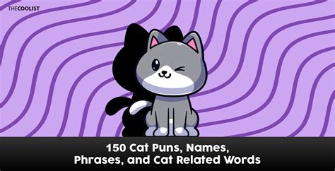 Funny Cat Puns Jokes