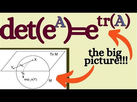 Free Video Matrix Exponentials Determinants And Lie Algebras From