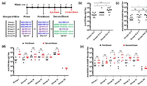 Immune Responses In Mice Vaccinated With Fp8 Vlps A Immunization