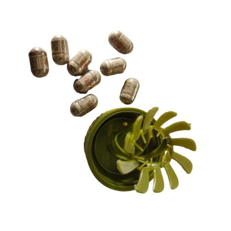 Jual Original Botol Ijo Tutup Kuning Original Shopee Indonesia