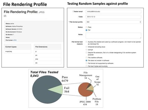 identifying barriers to file rendering in bit level preservation