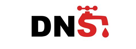 DSC And DNSTAP Allow You To Monitor All The DNS APNIC Blog