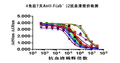 抗独特型抗体Anti idiotype制备服务 钟鼎生物