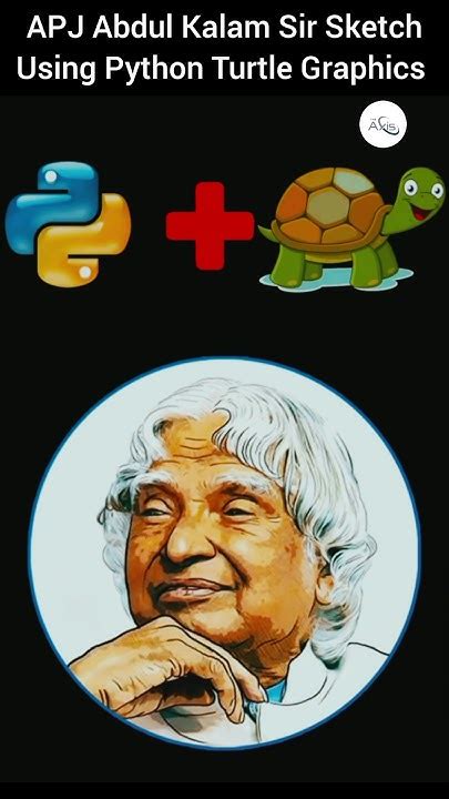 Cool Python Turtle Graphics Design Pythonturtlegraphics Pythontutorials Codingaxis Youtube