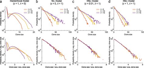 Scaling Law Of Clone Size Distribution In The Nc And Hnc Download