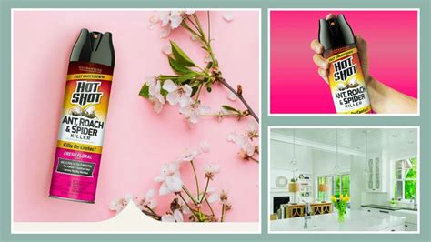 15 Best Cockroach Killer Sprays Keep Your Place Healthy