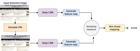 Proposed Nr Iqa Method Download Scientific Diagram