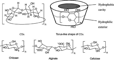 Scheme 1 Molecular Structure Of Cds Chitosan Alginate And Cellulose Download Scientific
