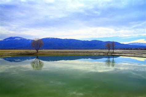 컨셉 겔러리 설경과 반영