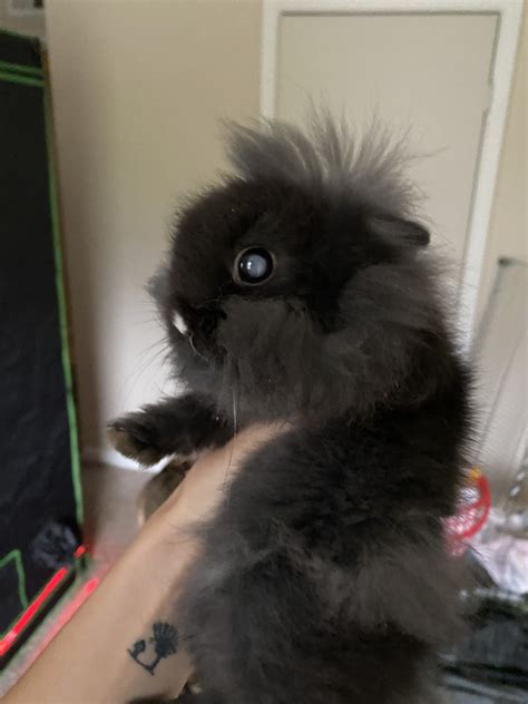 F4 Bddc62 95 F8 4520 B3 F0 94 D1909 Bbc0 F — Postimages