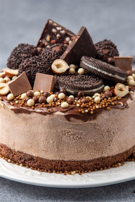 20 Ice Cream Cake Recipes For Your Next Party Insanely Good