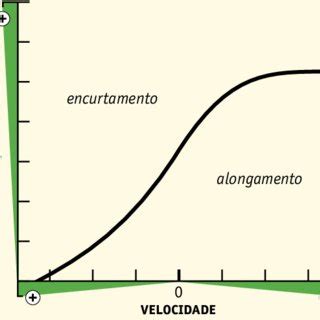 Exerc Cio Em Cadeia Cin Tica Fechada Dos Membros Inferiores Com