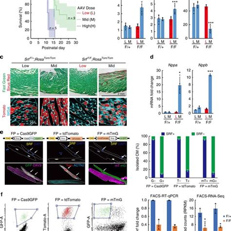 Donghui Zhang Professor Phd Hubei University Wuhan College Of Life Science Research