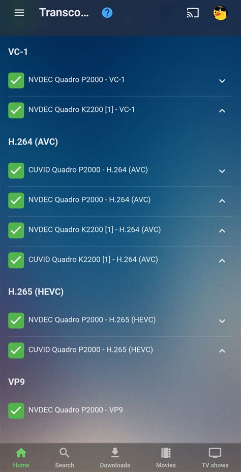 Both GPUs Showing In Transcode Options Linux Emby Community