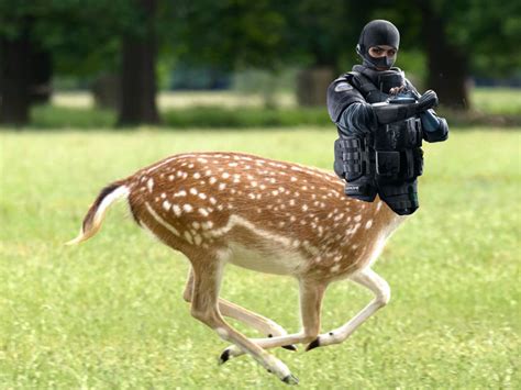 Deertaur Twitch By Centaurhunter1 On Deviantart