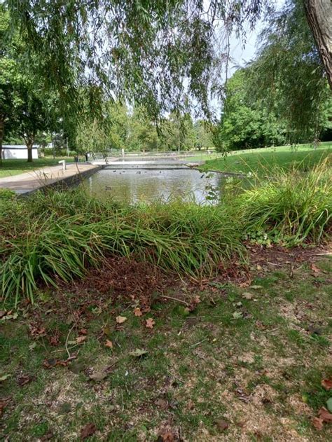 Me And The Swift Inverted Microscope Jackys Microscopy