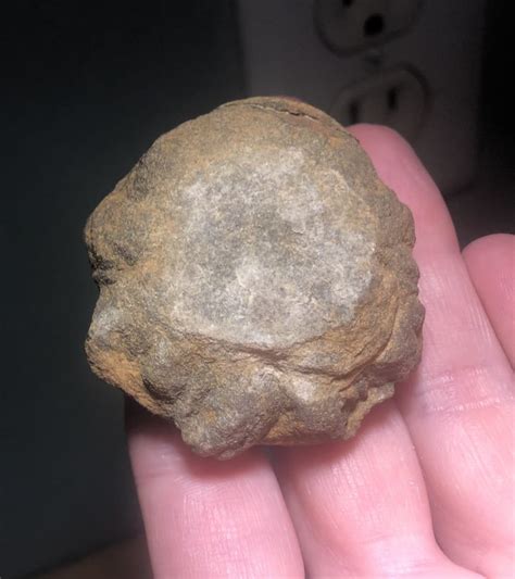 Unknown Fossils From My Backyard Se Missouri Rock Tumbling Hobby