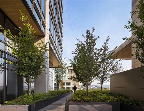 画廊 裙房高于街道 26 米，2u 商业大厦 Pickard Chilton 16