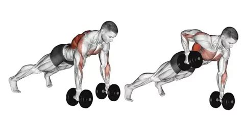 Dumbbell Renegade Row Dumbbell Back Workout Renegade Rows Dumbbell Workout