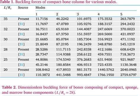 Table 2 From Idealization Of Functionally Graded Porous Tubes For Buckling Modelling Of Bone