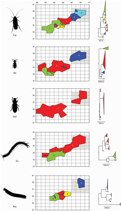 The Number And Distribution Of Spatial Genetic Clusters And