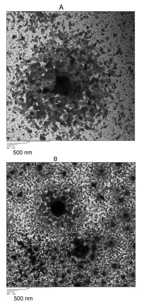 Transmssion Electron Micrographs Of Fe3o4 Magnetic Nanoparticles A