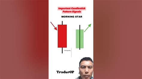 Trading Memecrypto Electrical Bitcoin Cryptomemes Youtube