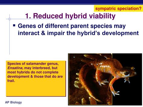 Ppt Speciation Powerpoint Presentation Free Download Id2647678
