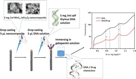 The General Schematic Of Fabrication Of Biosensors Dna Based