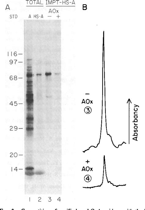 Figure 3 From Cloning Of Cdna Coding For Peroxisomal Acyl Coa Oxidase From The Yeast Candida