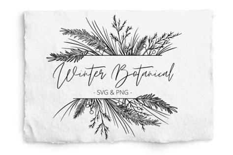 Winter Botanical Rectangular Frame Svg Graphic By Gaborstudiodesign