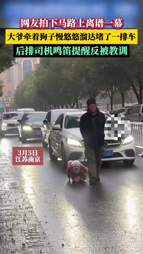 等车时遇到的离谱一幕 大爷悠然牵狗溜达堵一排车 后排司机鸣笛提醒反被教训