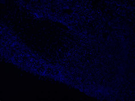 Image Write Tiff 60 In Strips After Output From Imagemagick Or Libtiff Stack Overflow