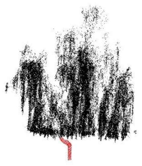 Hierarchical Fine Extraction Method Of Street Tree Information From