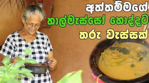 අත්තම්මගේ රසට හල්මැස්සො හොදි Sprats Curry With English Subtitles