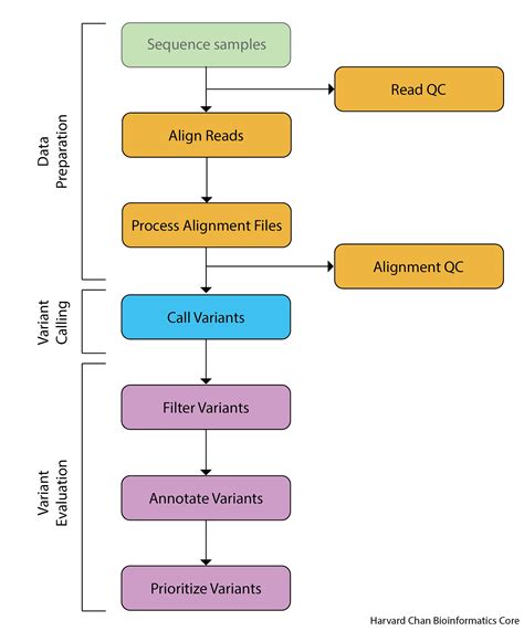 Introduction Into Variant Analysis Variant Analysis